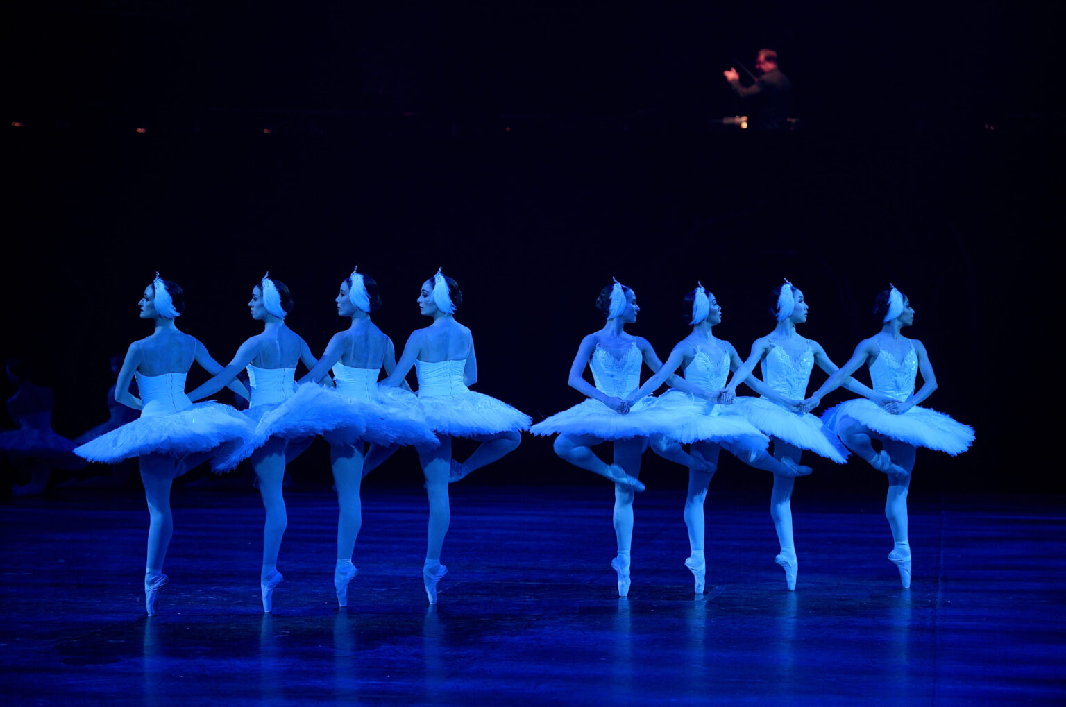 Everything you need to know about Swan Lake in-the-round - English ...