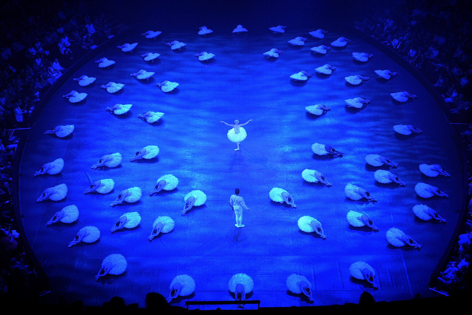 From 60 swans to 32 fouettés – Swan Lake in-the-round in numbers ...